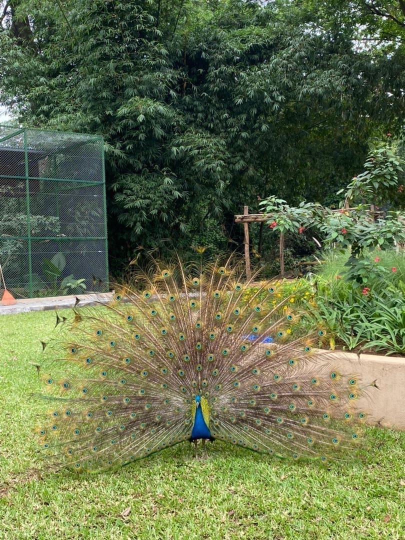 Le ZOO NATIONAL D’ABIDJAN | Biodiversité de Côte d'Ivoire